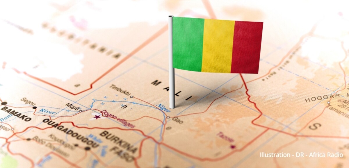 Mali : le JNIM revendique des attaques coordonnées avec les rebelles ...